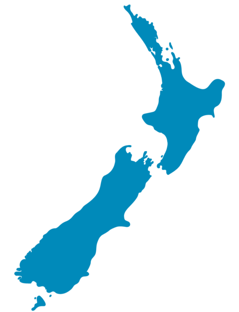 Reports - ACENZ - Strategic Pay