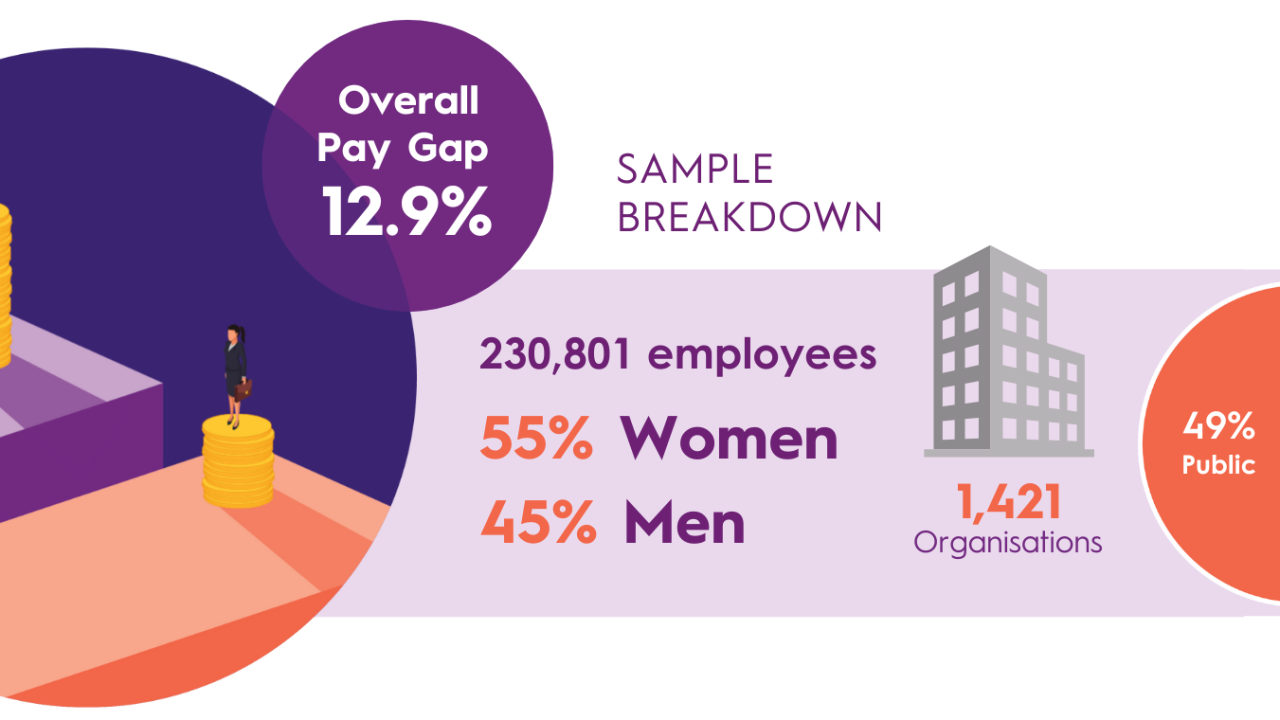 Strategic Pay's 2024 Pay Equity Booklet - Strategic Pay